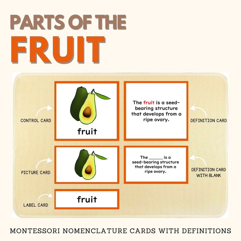 Parts of the FRUIT Montessori Botany Fruits Language Activity Plant ...