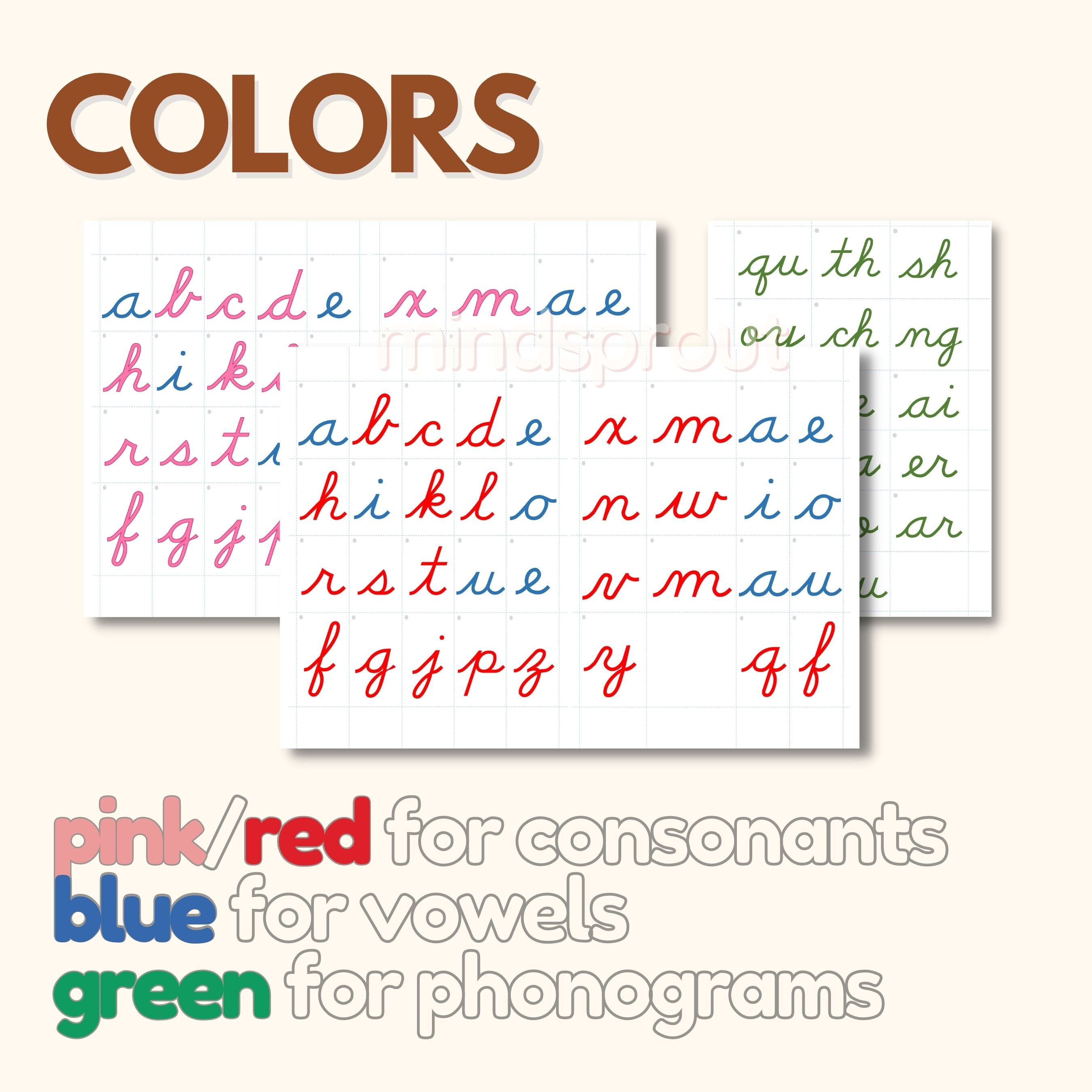 CURSIVE Small Movable Alphabet Letter Montessori Language Material ...