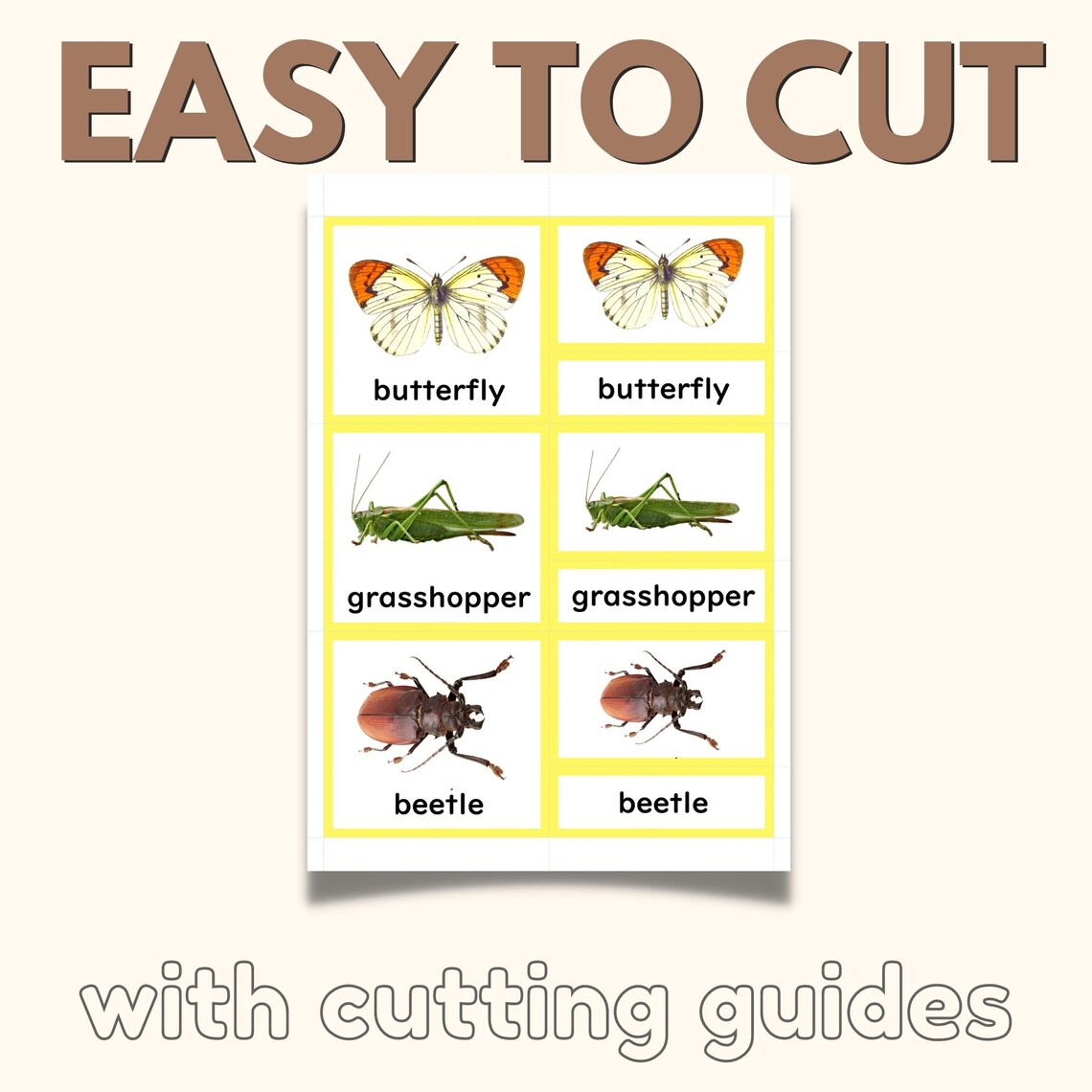 ARTHROPODS Three Part Card Montessori Nomenclature 3-part Classified ...