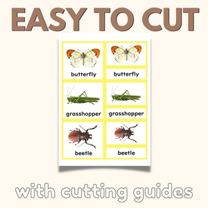 ARTHROPODS Three Part Card Montessori Nomenclature 3-part Classified ...
