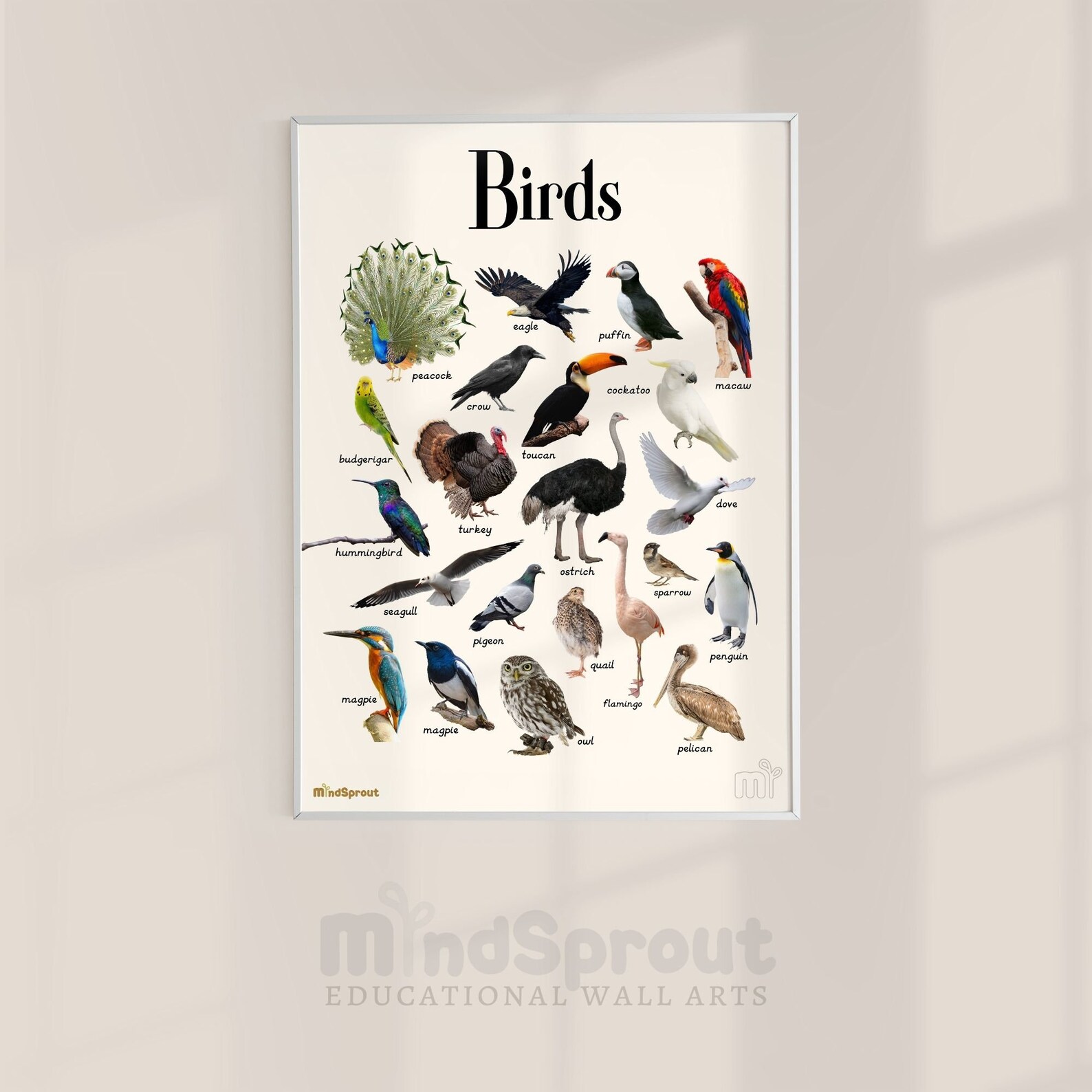 Educational Wall Art Montessori Chart Birds Poster Home Decor for ...