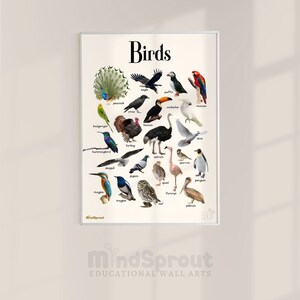 Educational Wall Art Montessori Chart Birds Poster Home Decor for ...
