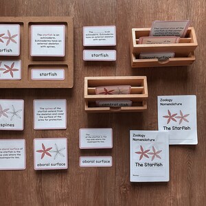 ECHINODERMS Zoology Invertebrates Study Parts of Starfish Montessori ...