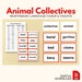 Animal Vocabulary Cards Charts Montessori Language Material BUNDLE ...