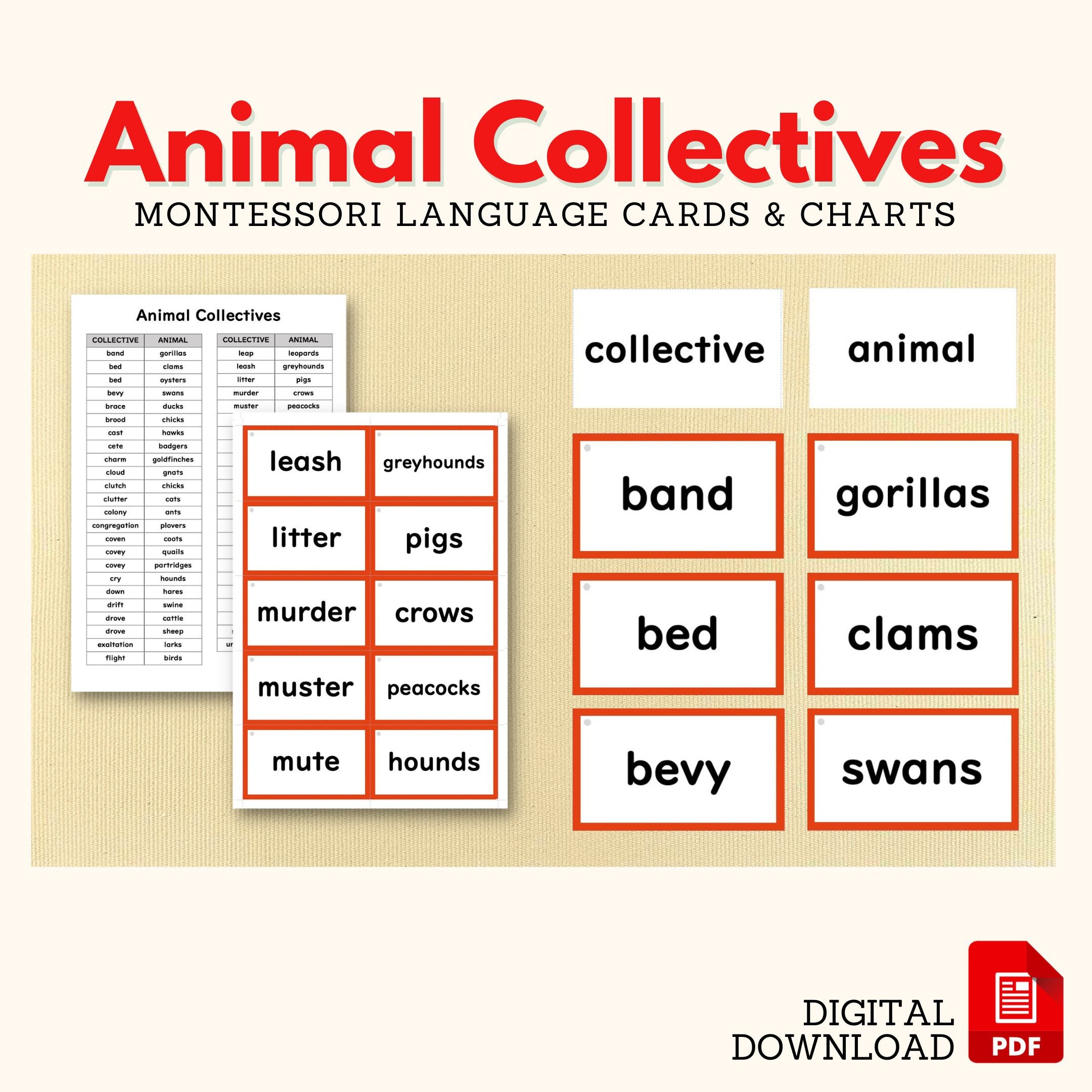 Animal Vocabulary Cards Charts Montessori Language Material BUNDLE ...