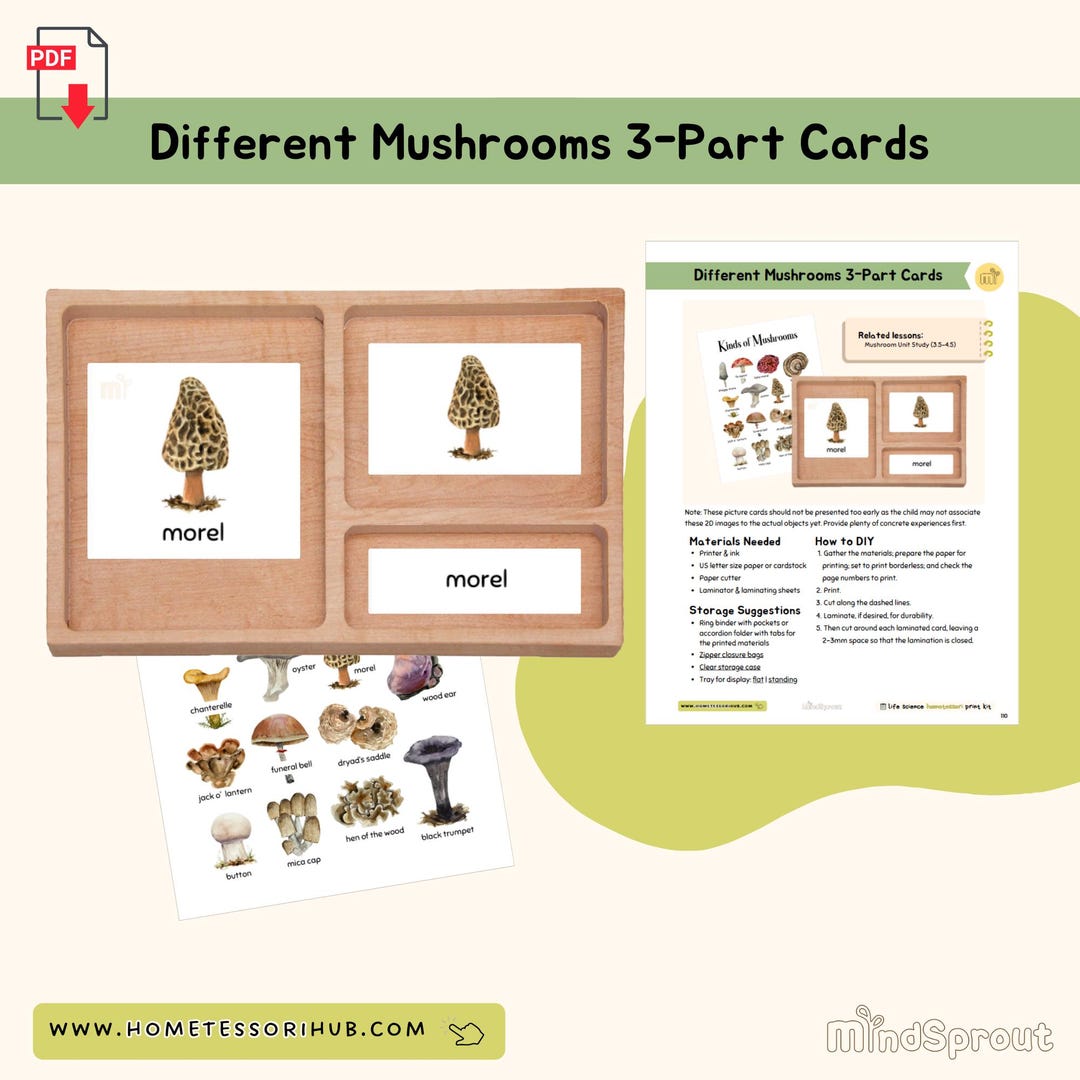 Different Mushrooms 3-part Cards Miscellaneous Montessori Printable ...