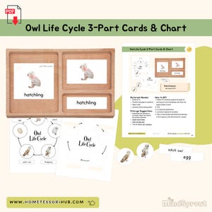 Owl Life Cycle 3-part Cards & Chart Zoology Montessori Printable ...