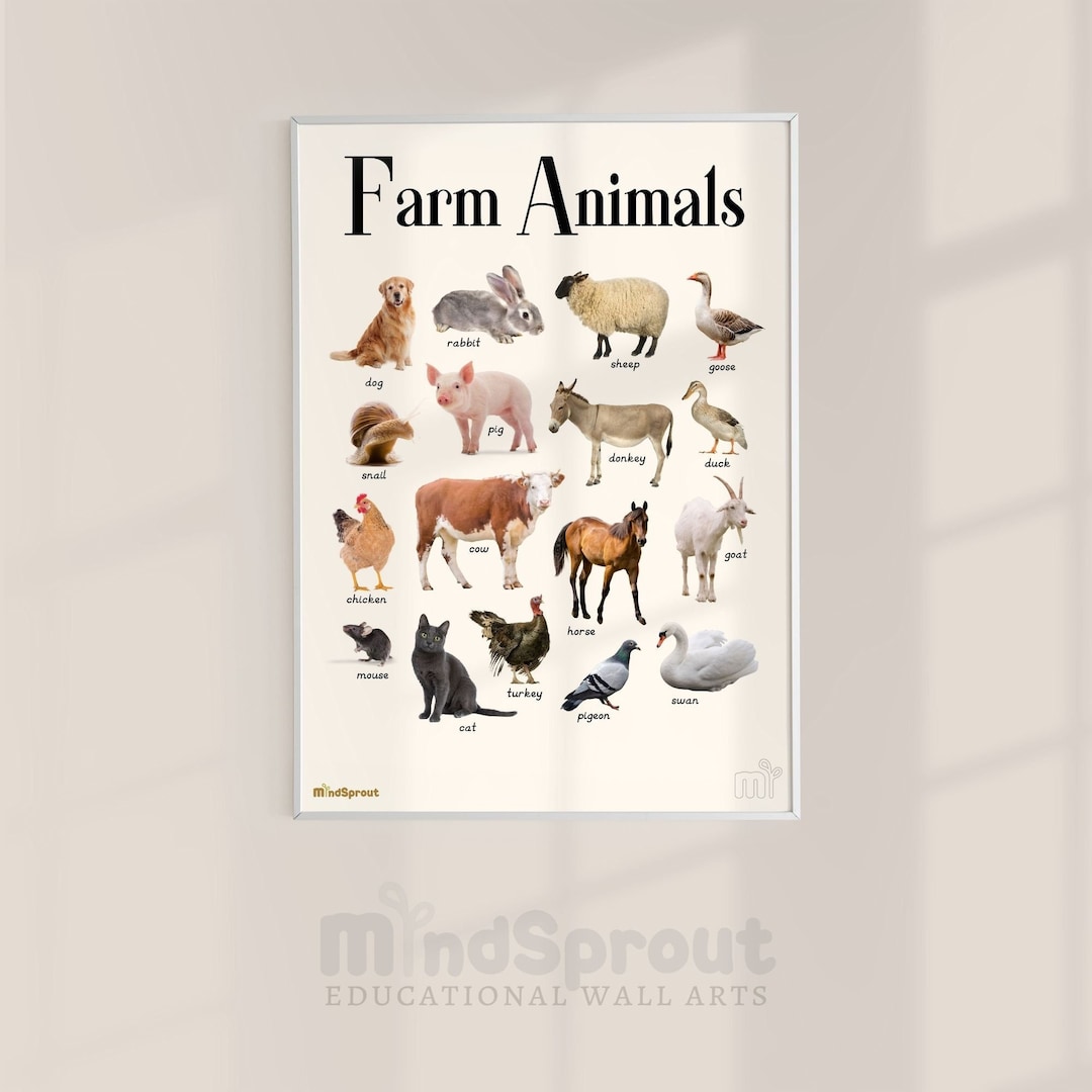 Educational Wall Art Montessori Chart Farm Animals Poster Home Decor ...