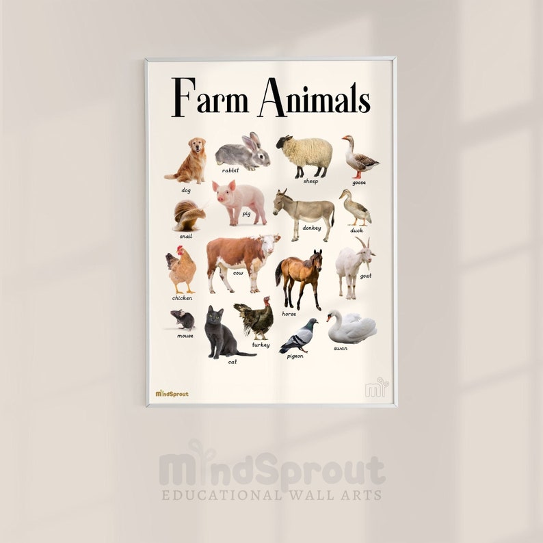Educational Wall Art Montessori Chart Farm Animals Poster Home Decor ...