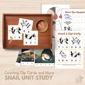 PUFFIN Unit Study Preschool Arctic Animal Activity Puffin Coloring ...