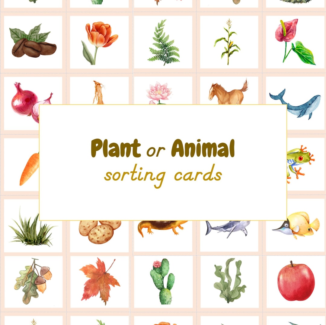 PLANT and ANIMAL Sorting Cards Game Montessori Activity - Etsy
