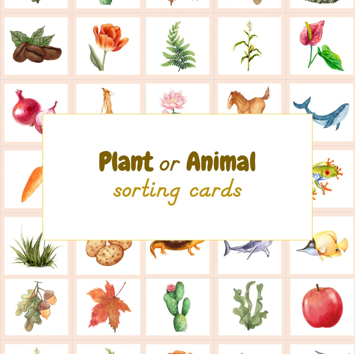 PLANT and ANIMAL Sorting Cards Game Montessori Activity Preschool ...