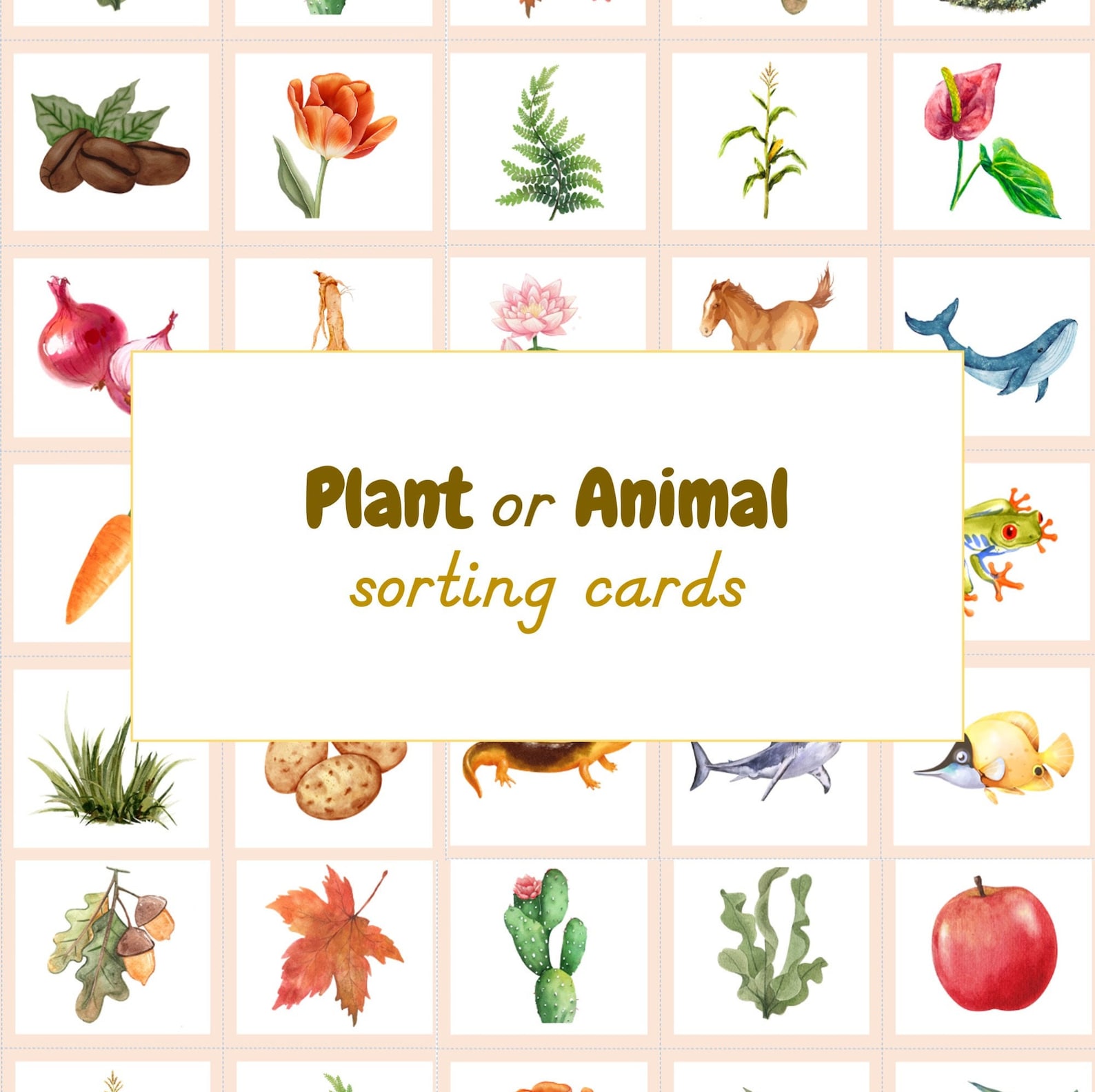 PLANT and ANIMAL Sorting Cards Game Montessori Activity Preschool ...