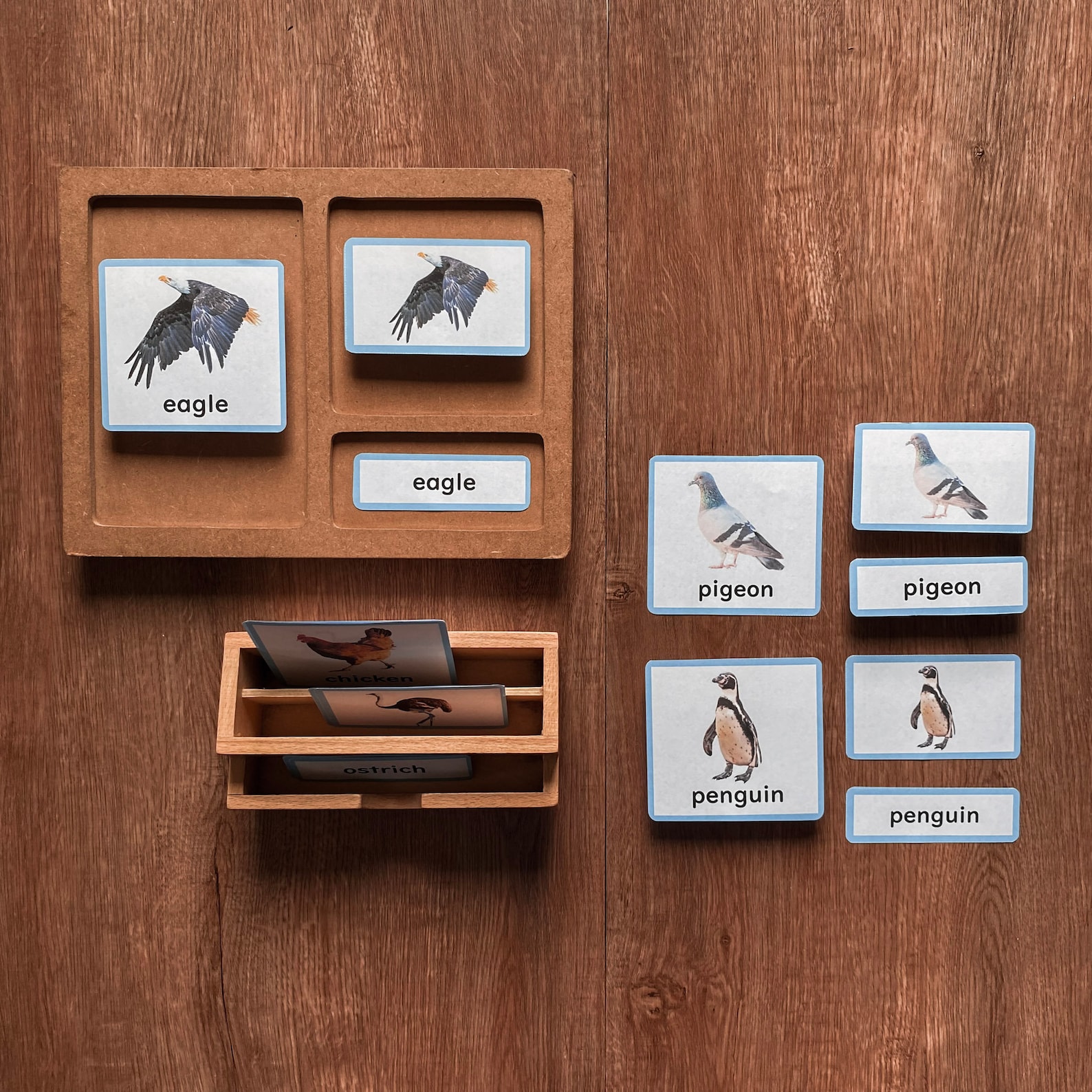 BIRDS Three Part Cards Montessori Nomenclature 3-part Classified Cards ...