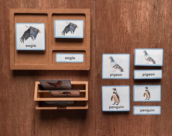 Birds and Their Beaks Montessori Three Part Cards Sorting Activity ...