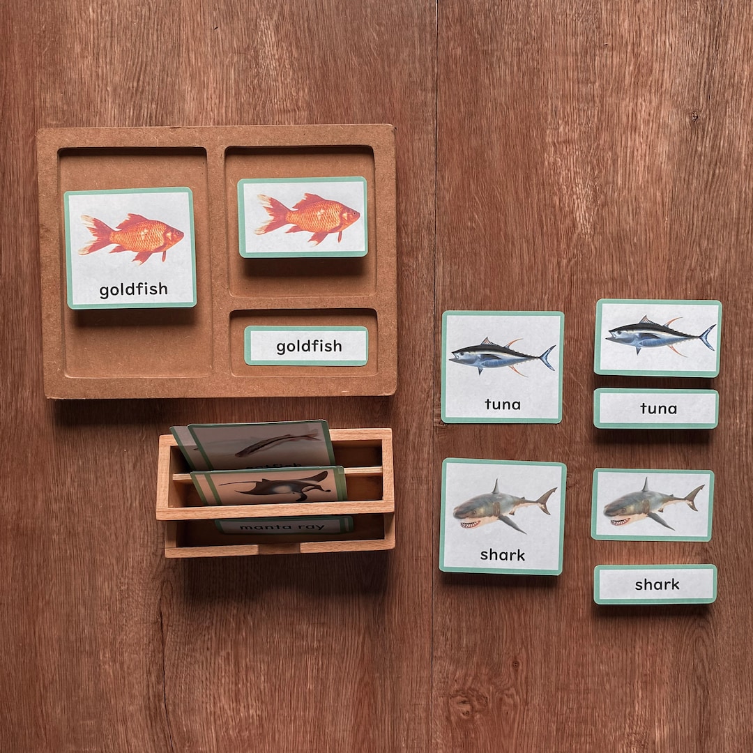 FISH Unit Study Three Part Card Montessori Nomenclature 3-part ...