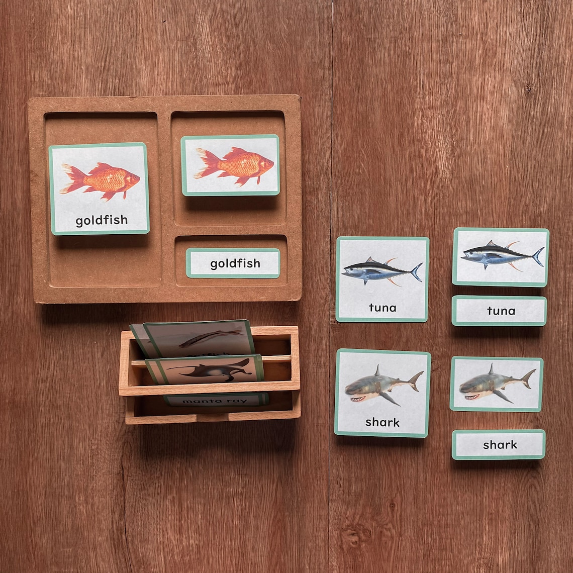 FISH Unit Study Three Part Card Montessori Nomenclature 3-part ...