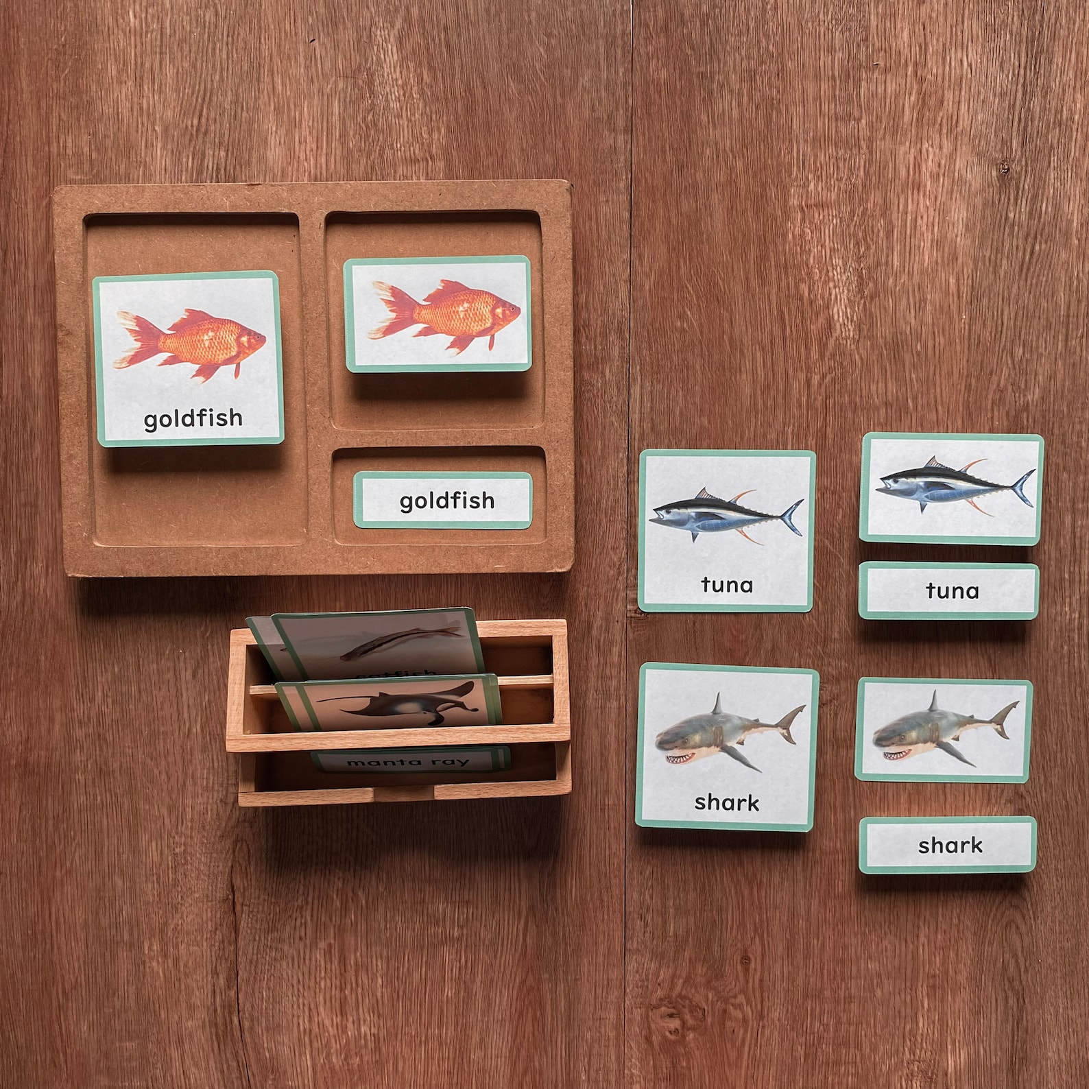 FISH Unit Study Three Part Card Montessori Nomenclature 3-part ...