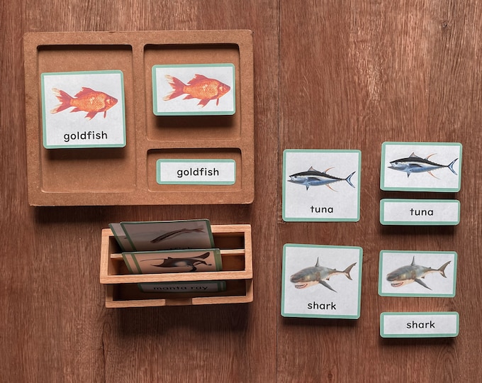 Parts of a Leaf - Montessori 3-part-cards - Etsy Canada