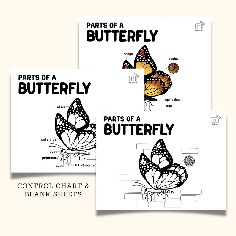 Montessori Zoology INVERTEBRATES Control Chart Blackline Masters ...