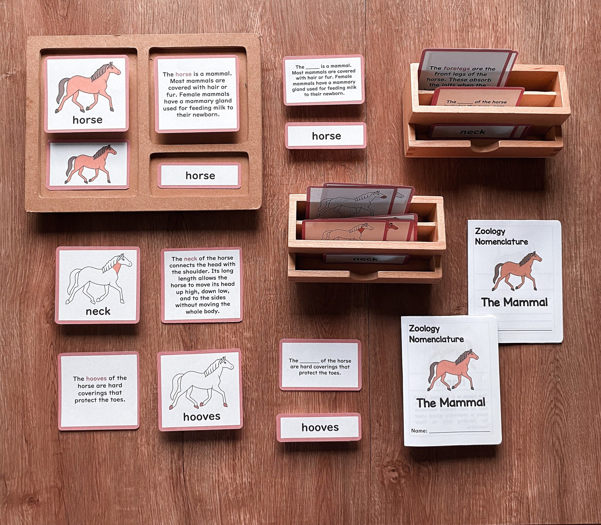 MAMMALS Zoology Unit Study Parts of Horse Montessori Nomenclature 5 ...