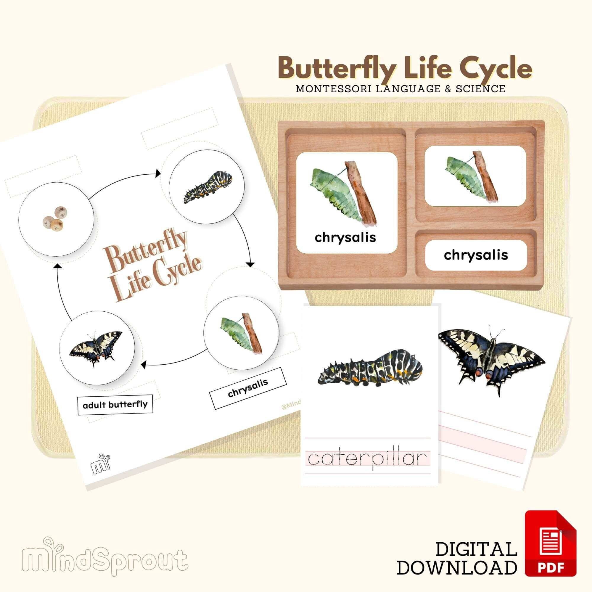 Life Cycle of Butterfly, Montessori Language Butterfly Life Cycle ...