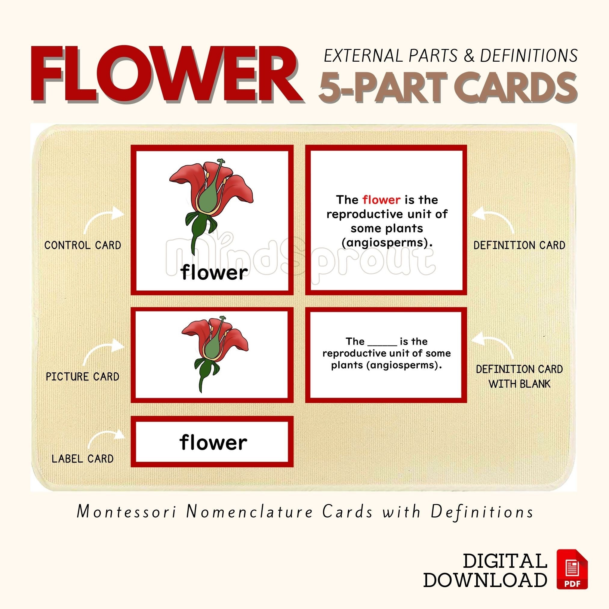 Parts of the FLOWER Montessori Botany Unit Study 5-part Card Definition ...