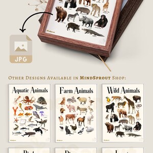 Educational Wall Art Montessori Chart Wild Animal Poster Home Decor for ...