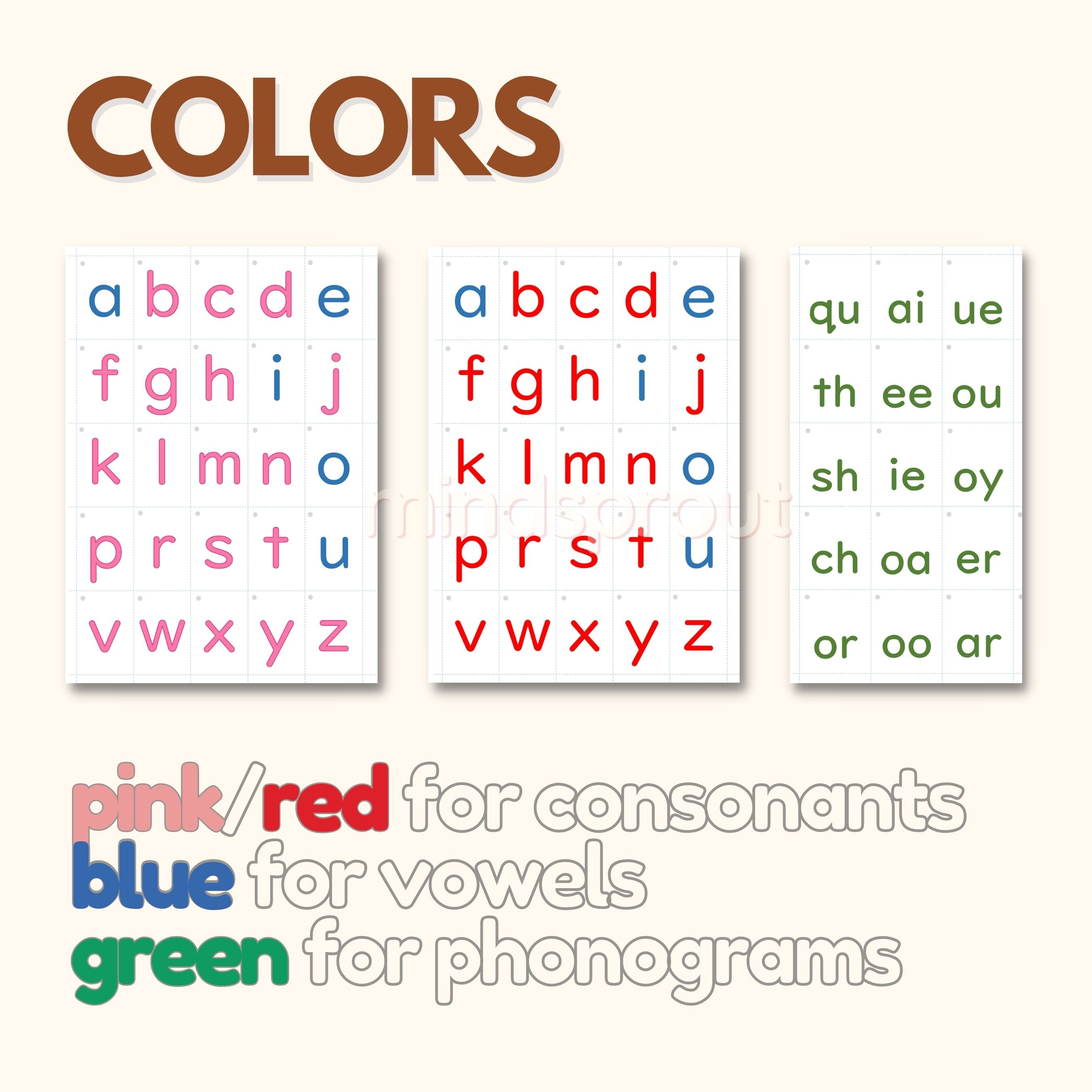 PRINT Small Movable Alphabet Letter Montessori Language Material ...