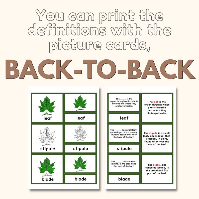 Parts of the LEAF Montessori Botany Unit Study 5-part Card Definition ...