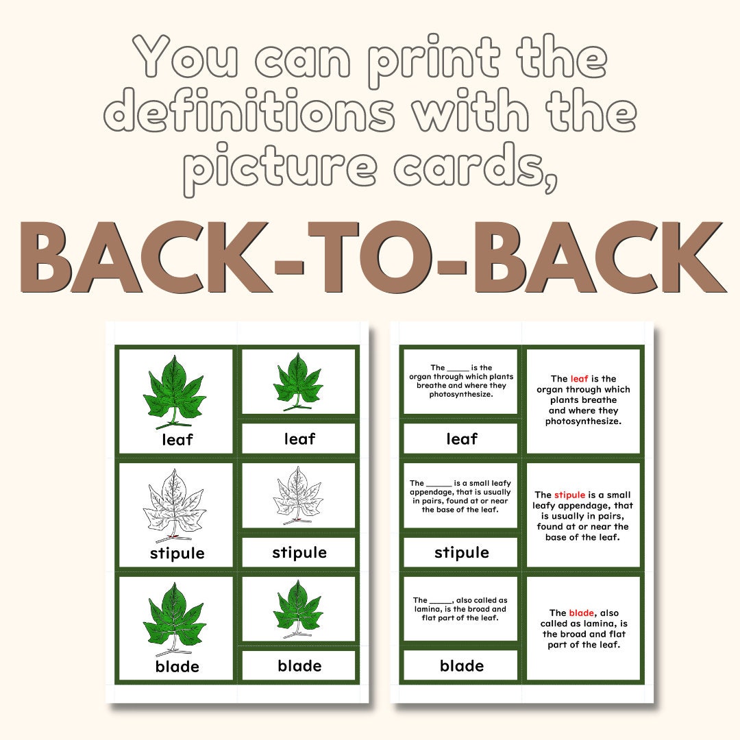 Parts of the LEAF Montessori Botany Unit Study 5-part Card Definition ...