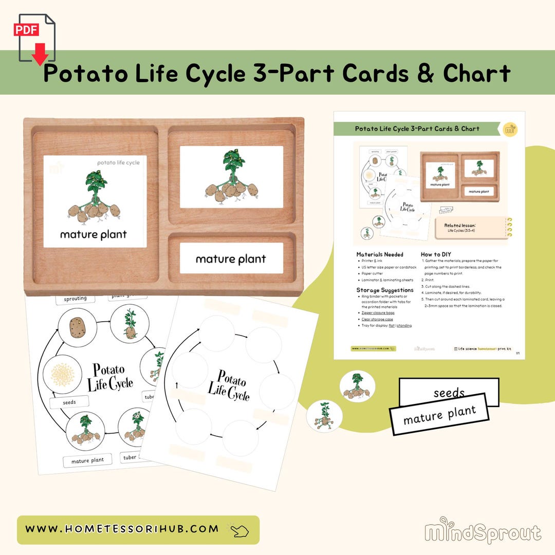 Potato Life Cycle 3-part Cards and Chart Botany Montessori Printable ...