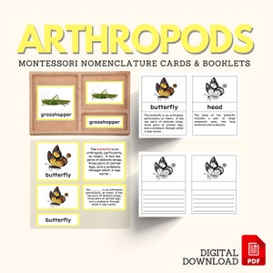 INVERTEBRATES Montessori Zoology Unit Study Montessori Nomenclature 5 ...