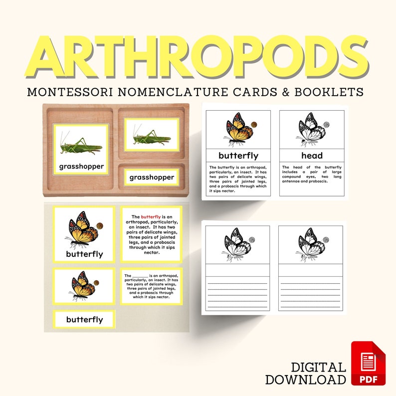 INVERTEBRATES Montessori Zoology Unit Study Montessori Nomenclature 5 ...