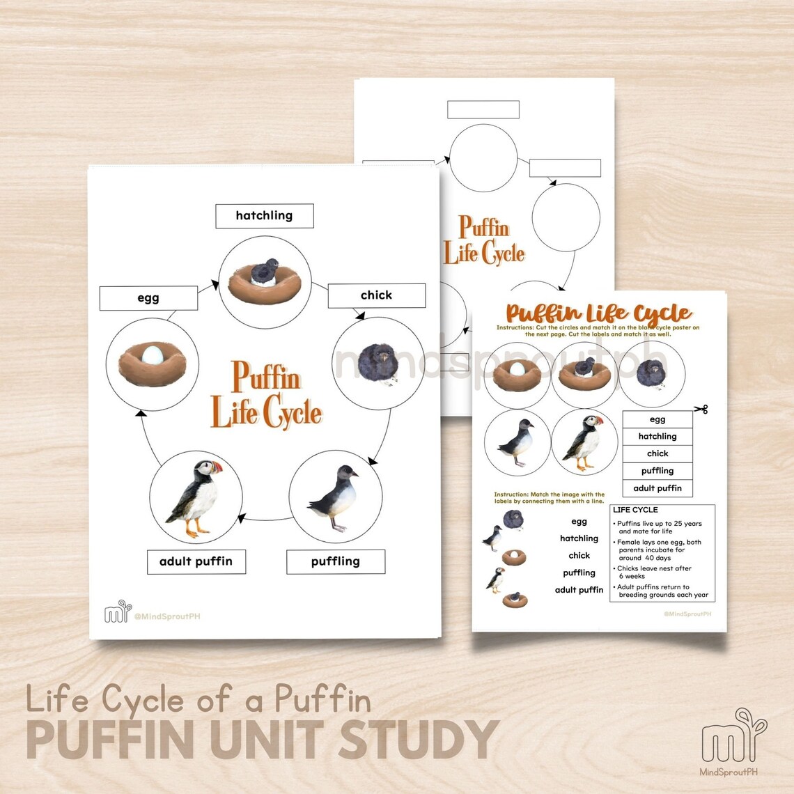 PUFFIN Unit Study for Elementary Parts of the PUFFIN Species Life Cycle ...