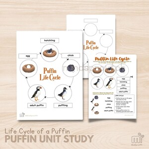 PUFFIN Unit Study for Elementary Parts of the PUFFIN Species Life Cycle ...