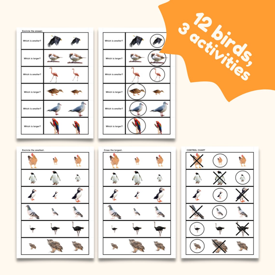 Small Medium Large Size Sorting Activity Montessori Sensorial ...