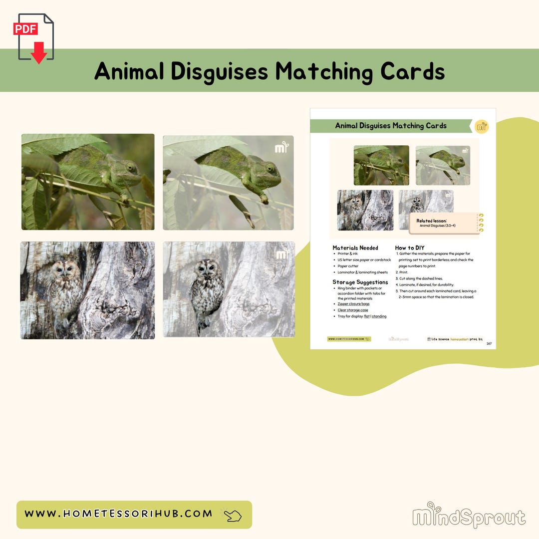 Animal Disguises Matching Cards Zoology Montessori Printable Material ...