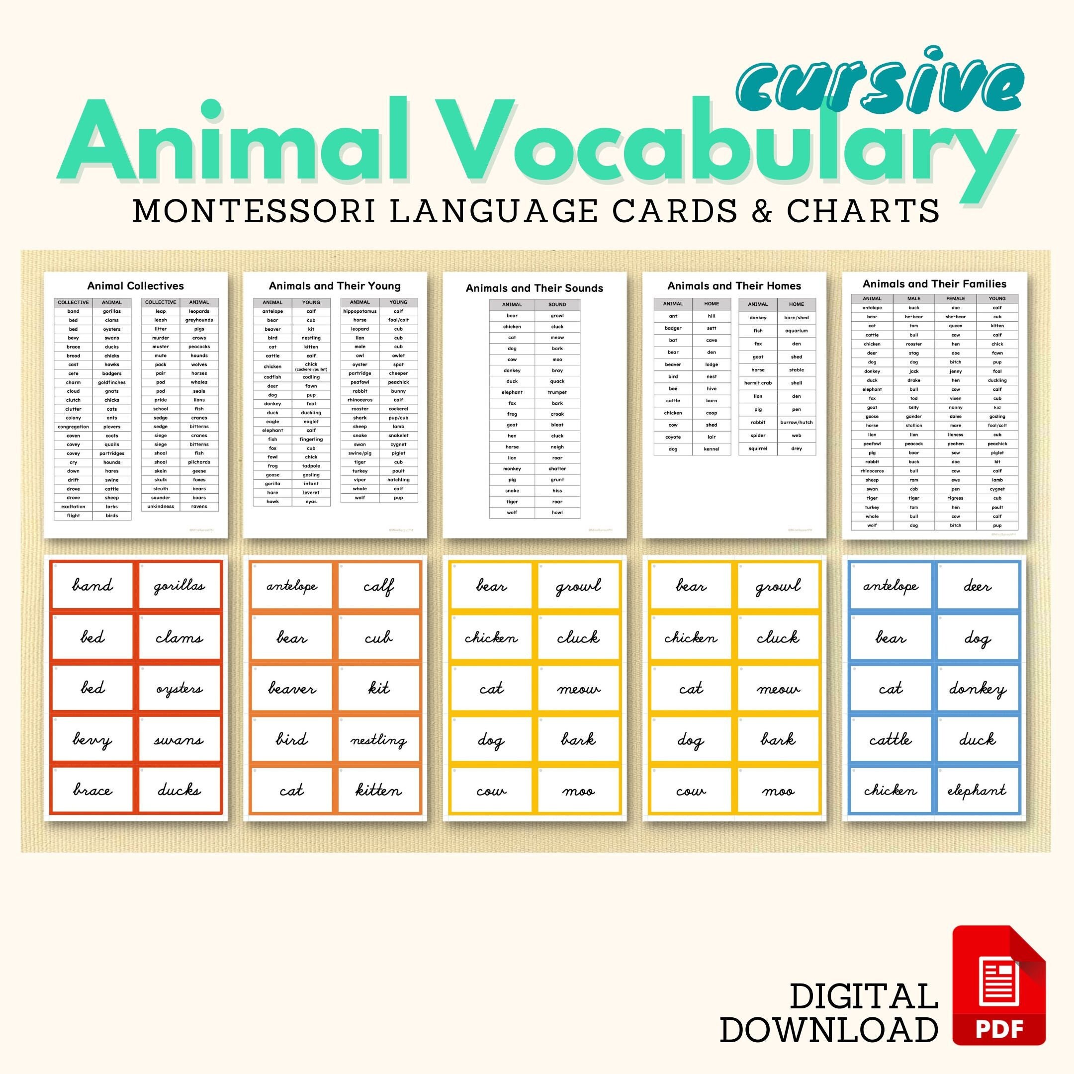 Animal Vocabulary Cards Charts CURSIVE Montessori Language Material ...