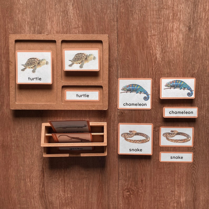 REPTILES Three Part Cards Montessori Nomenclature 3-part Classified ...