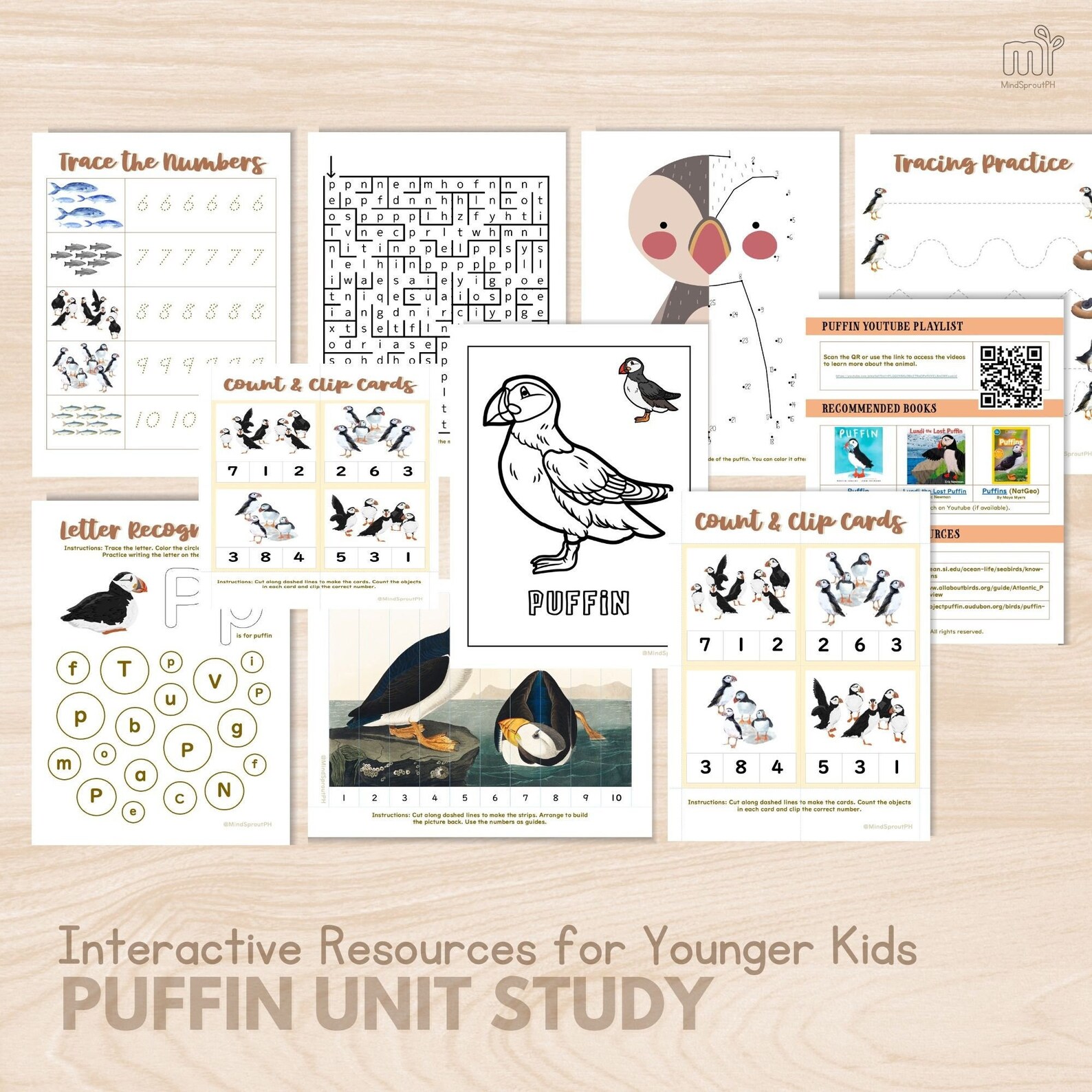PUFFIN Unit Study Preschool Arctic Animal Activity Puffin Coloring ...