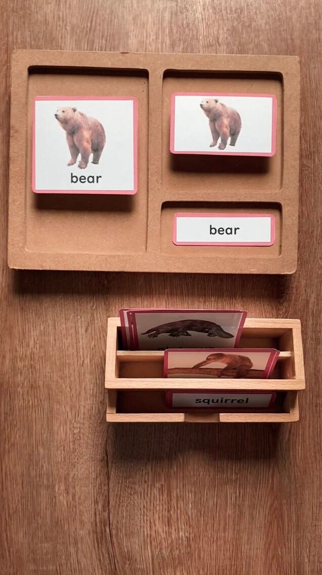 MAMMALS Three Part Cards Montessori Nomenclature 3-part Classified ...