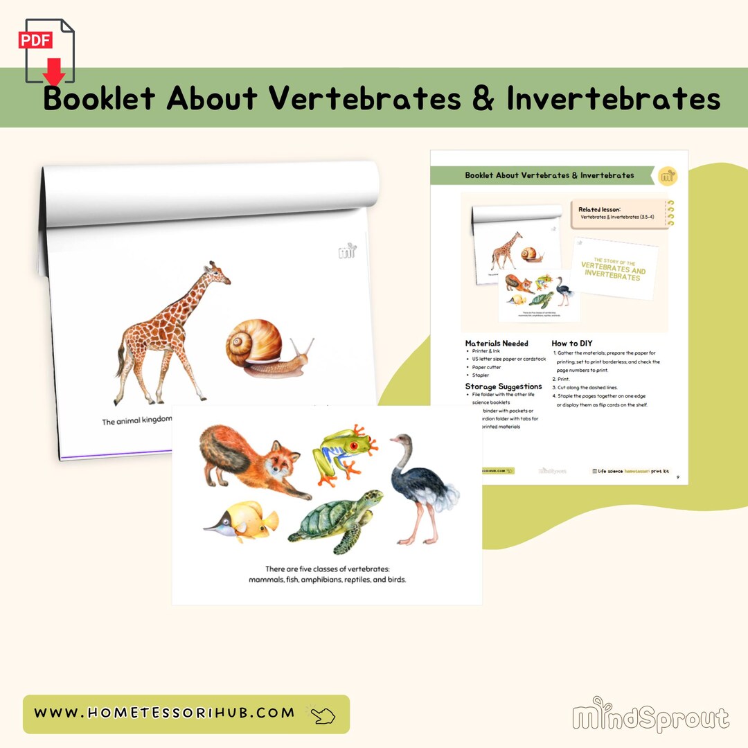 Booklet About Vertebrates & Invertebrates Zoology Montessori Printable ...