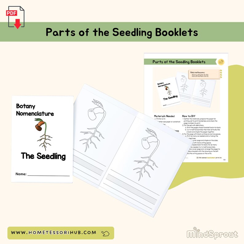 Parts of the Seed, Seedling, Plant Cards, Chart & Booklets Botany ...