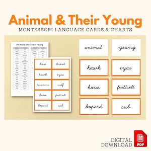 Animal Vocabulary Cards Charts CURSIVE Montessori Language Material ...