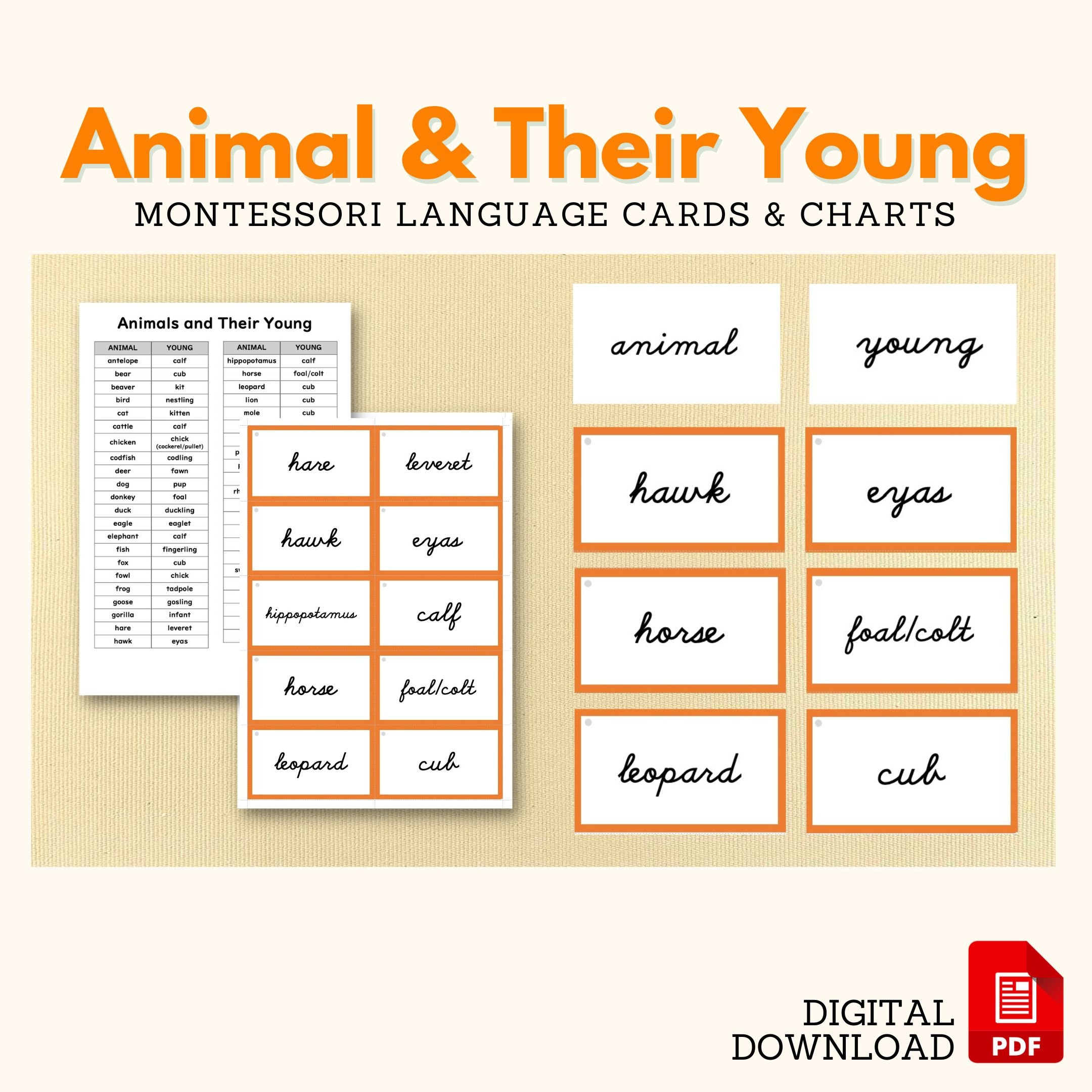 Animal Vocabulary Cards Charts CURSIVE Montessori Language Material ...