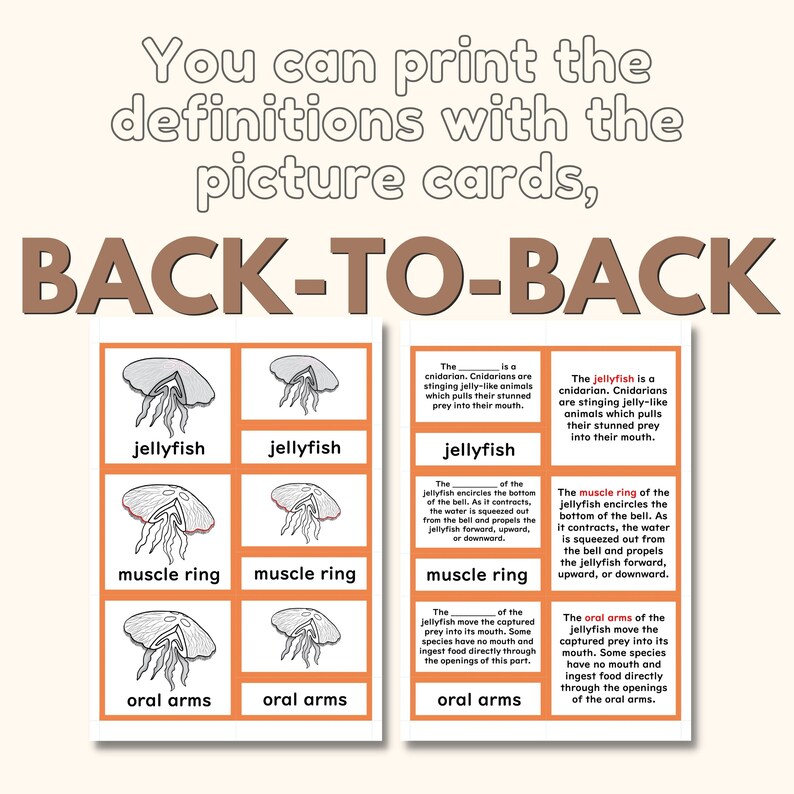 Parts of JELLYFISH Montessori Zoology Cnidarians Invertebrates Unit ...