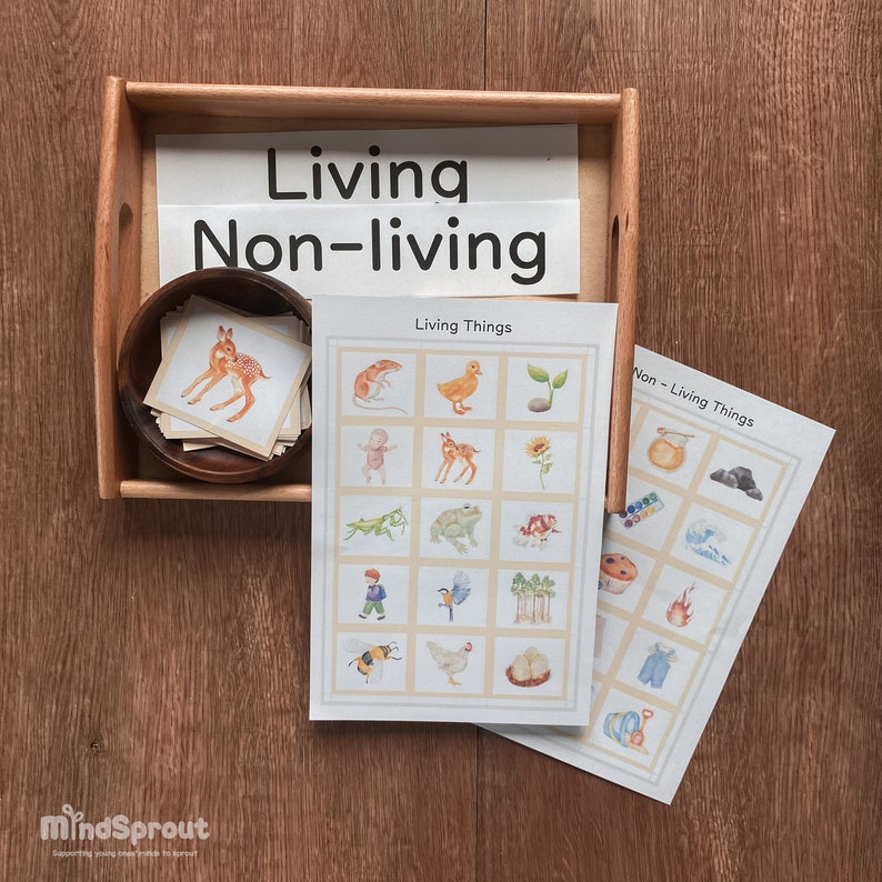 LIVING and Non-living Sorting Cards Montessori Activity Preschool ...