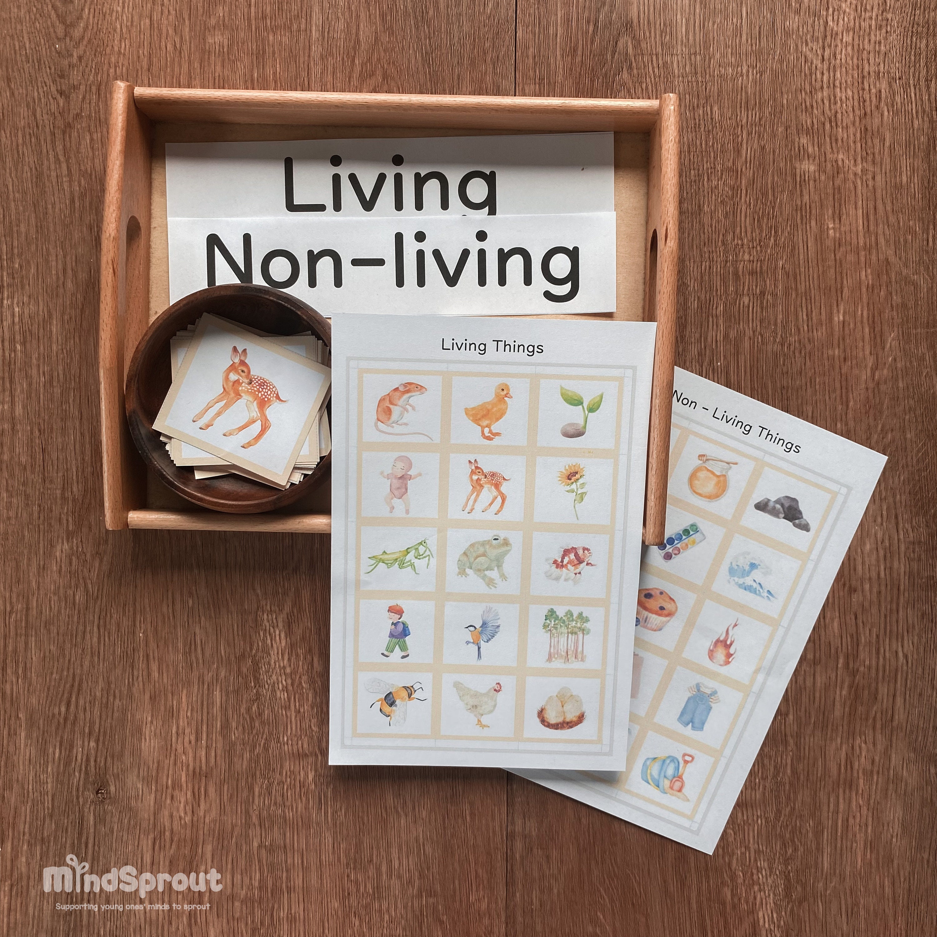 LIVING and Non-living Sorting Cards Montessori Activity Preschool ...