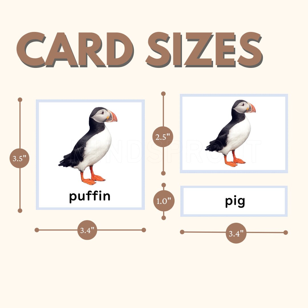POLAR ANIMALS Montessori Nomenclature 3 Part Cards Shadow Matching Card ...